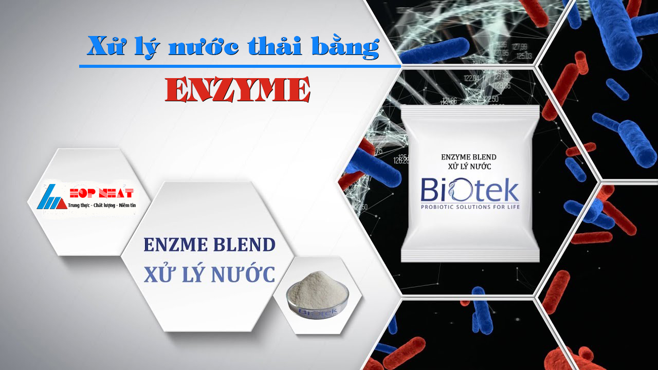 Ứng dụng xử lý nước thải bằng enzyme